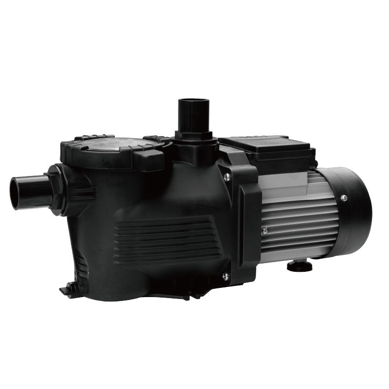 OEM Starmatrix SPS-4 SERIES Pool Pump With Timer Function Can Be Added ...